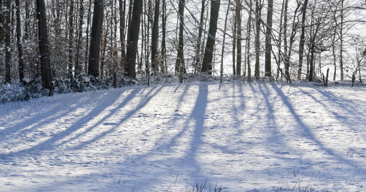 Guide to Winter Activities and Things to Do In & Around Clifton Park, NY