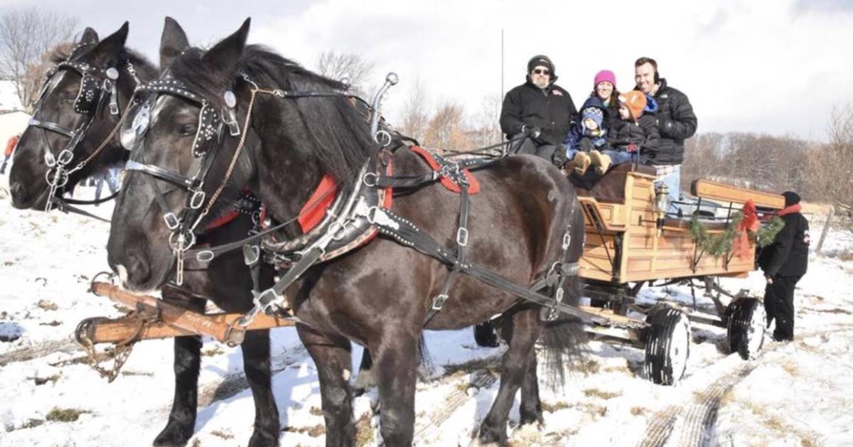 Clifton Park Holiday Guide for 2019 - Gifts, Events, Tips & More