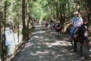 Things to Do On Mother's Day in Clifton Park - Local Ideas for Mom