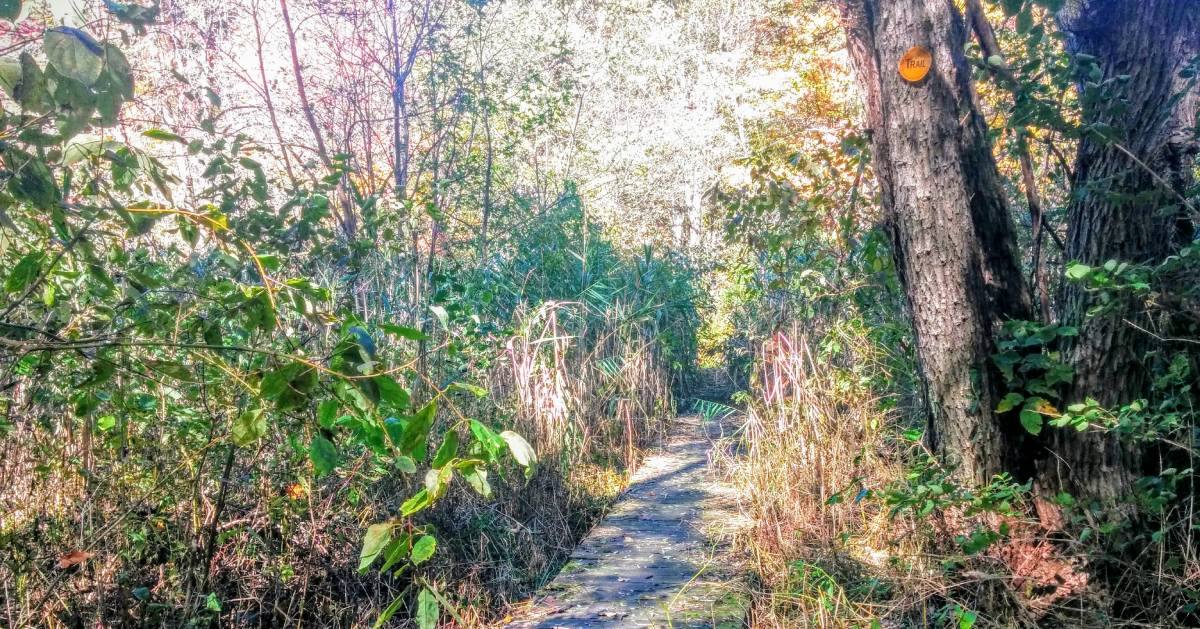 Where To Hike And Bike In Clifton Park, NY: Trails, Preserves & More